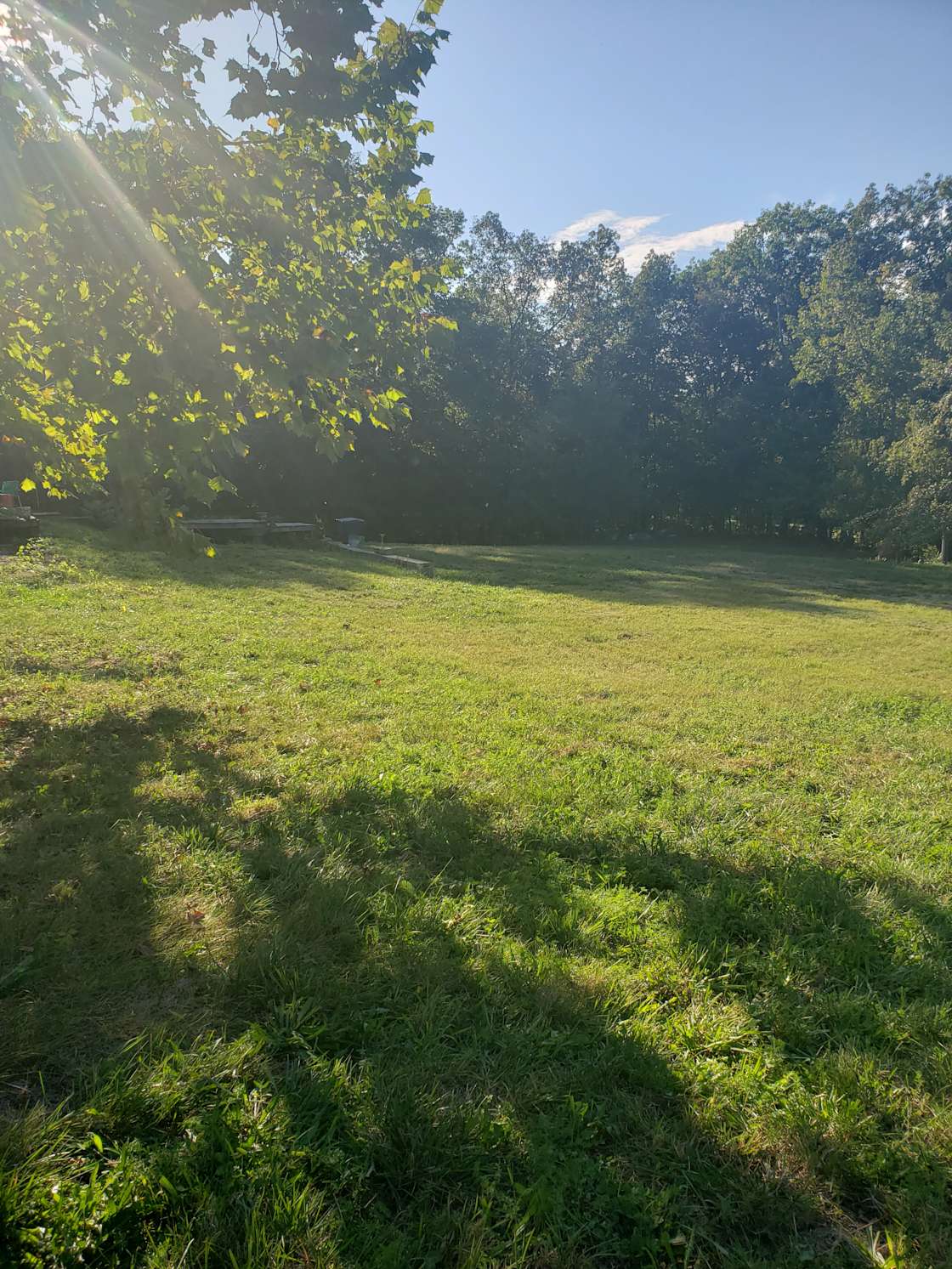 Open farm land with wooded areas - Hipcamp in Winchester, Ohio