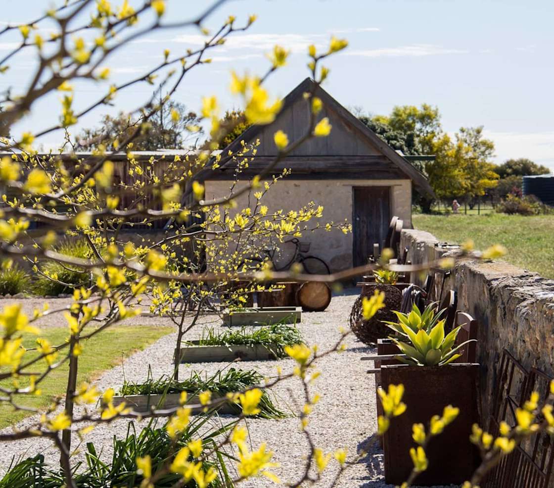 Ballara Art & Lifestyle Retreat - Hipcamp in Warooka, South Australia