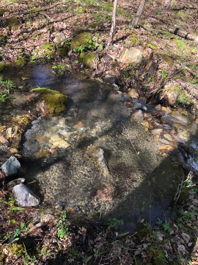 Hawk's Ridge - Hipcamp in Wallingford, Vermont