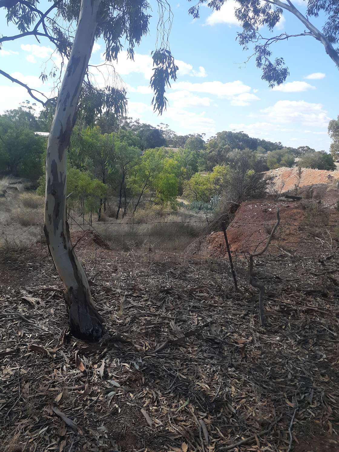 Historic Dutton Camp - Hipcamp in Dutton, South Australia