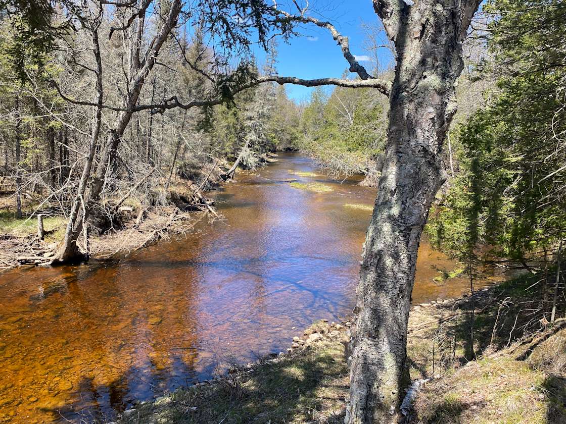 Forest Overlooking River - Hipcamp in Rapid River, Michigan