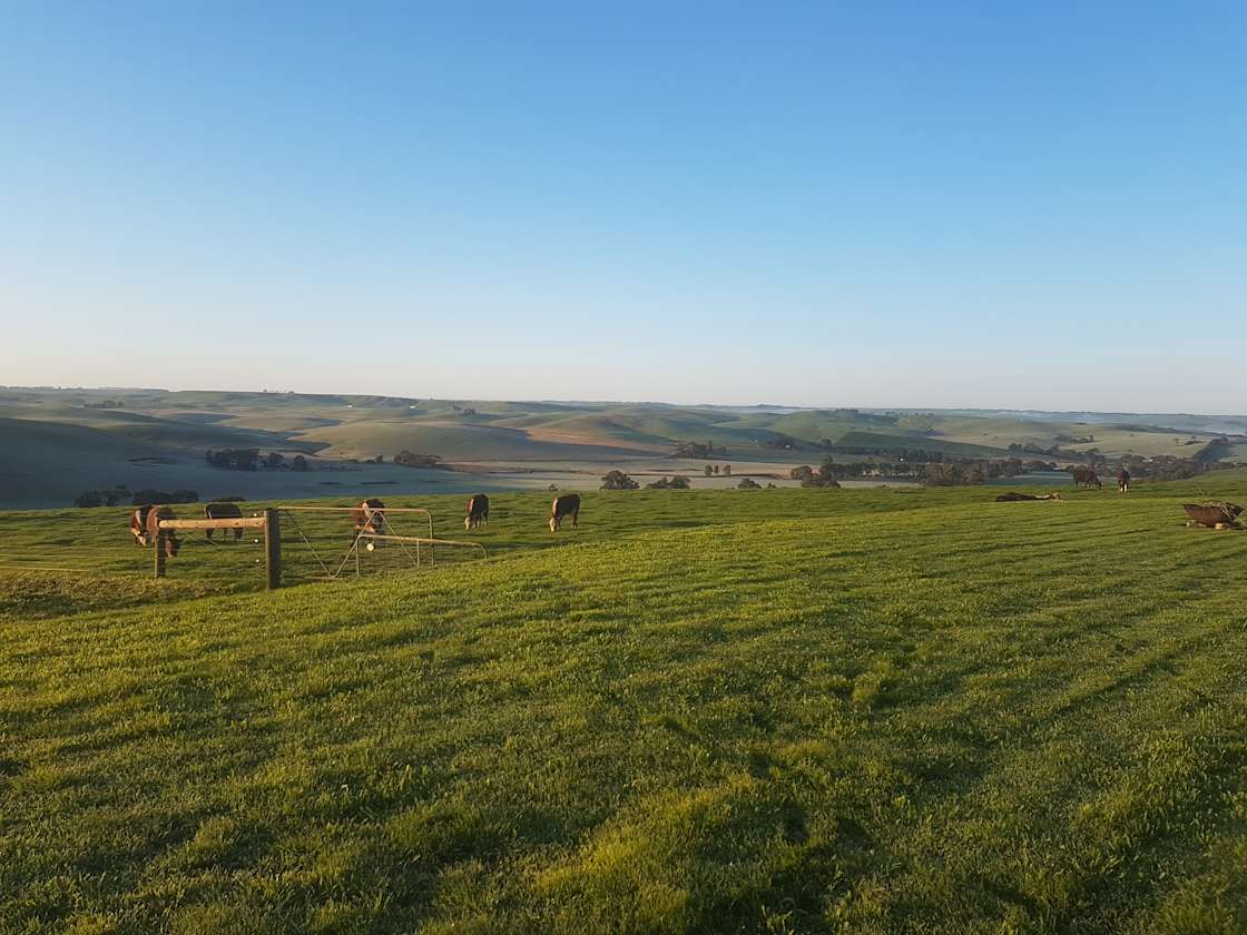 Hilltop Farm Camping - Hipcamp in Muntham, Victoria