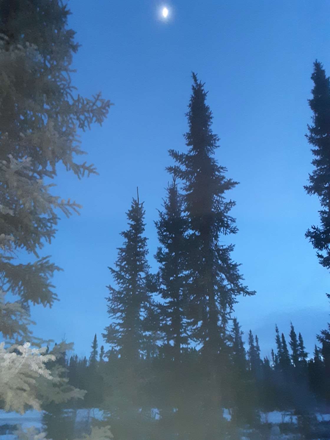 Holly L.’s Land - Hipcamp in Tomahawk, Alberta