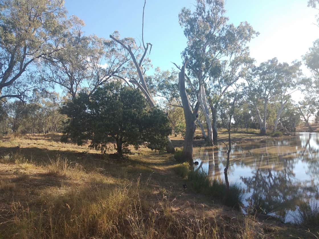 Brigalow Creek Camp - Hipcamp in Meandarra, Queensland