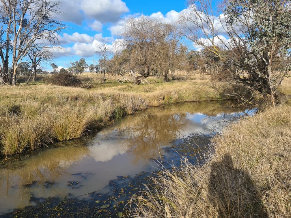 Fernside - Hipcamp in Lyndhurst, New South Wales