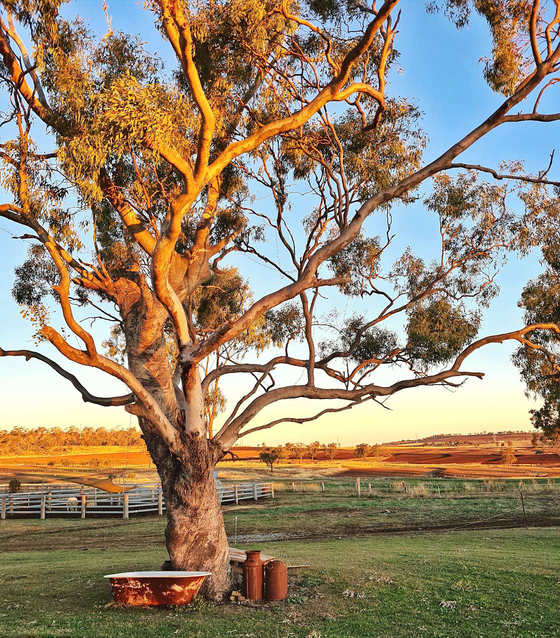 Mountview Farmstay - Hipcamp in Ramsay, Queensland