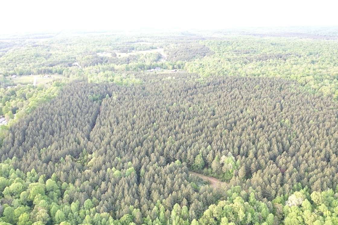 Prestige Pines - Hipcamp in Holladay, Tennessee