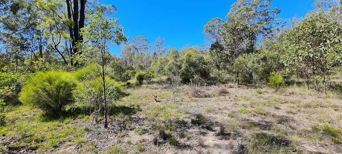 Blackbutt Campground - Hipcamp in Blackbutt North, Queensland