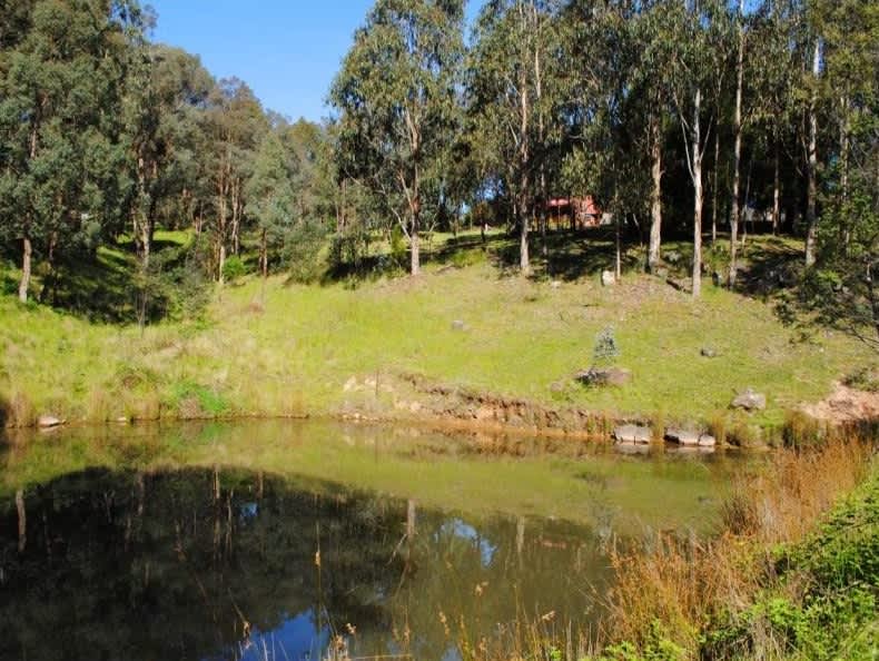 Mountain Escape - Hipcamp in Tolmie, Victoria