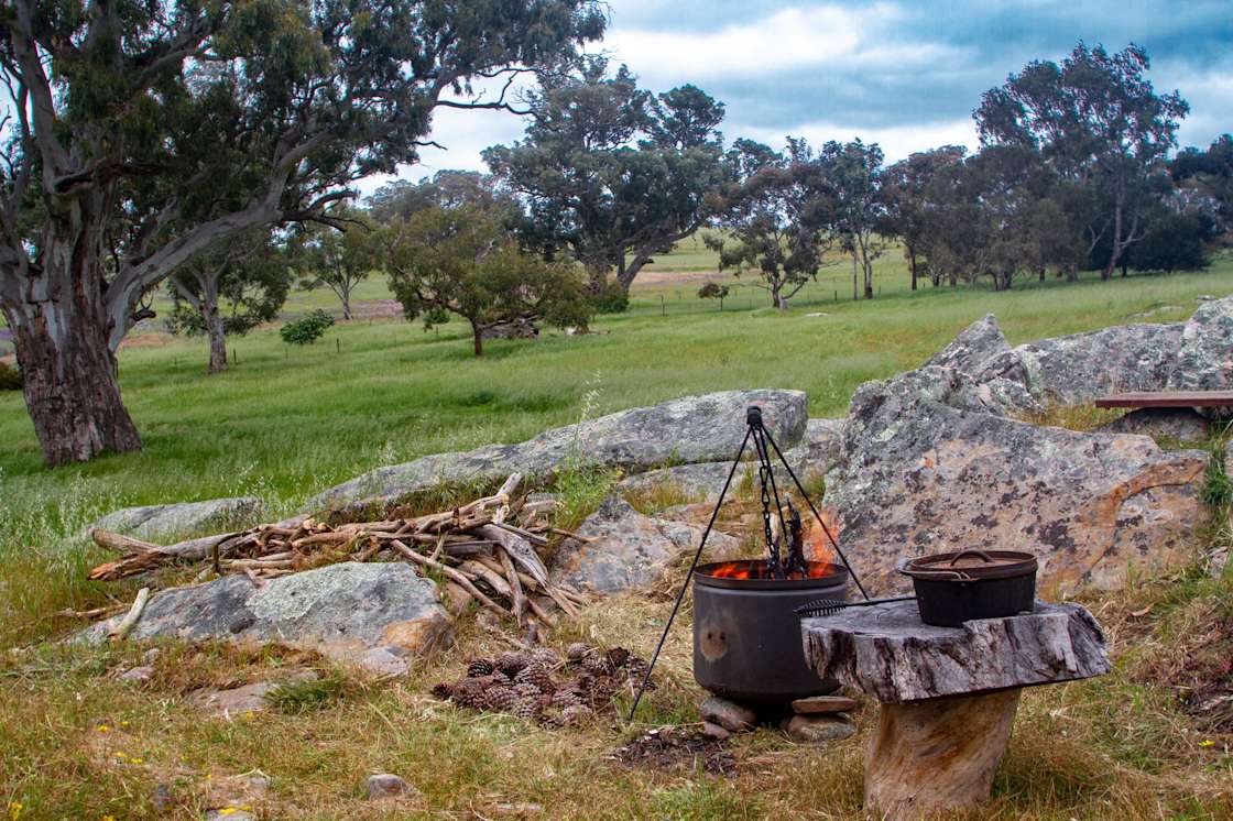 Pineview - Barossa Valley - Hipcamp in Springton, South Australia