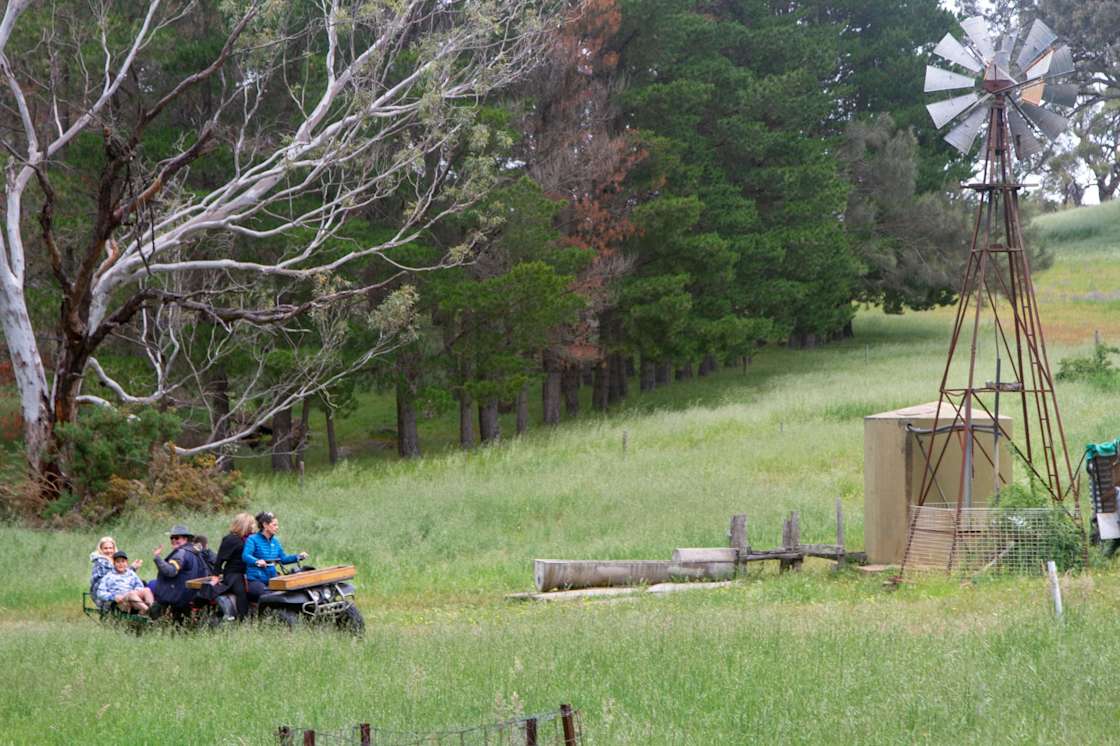 Pineview - Barossa Valley - Hipcamp in Springton, South Australia