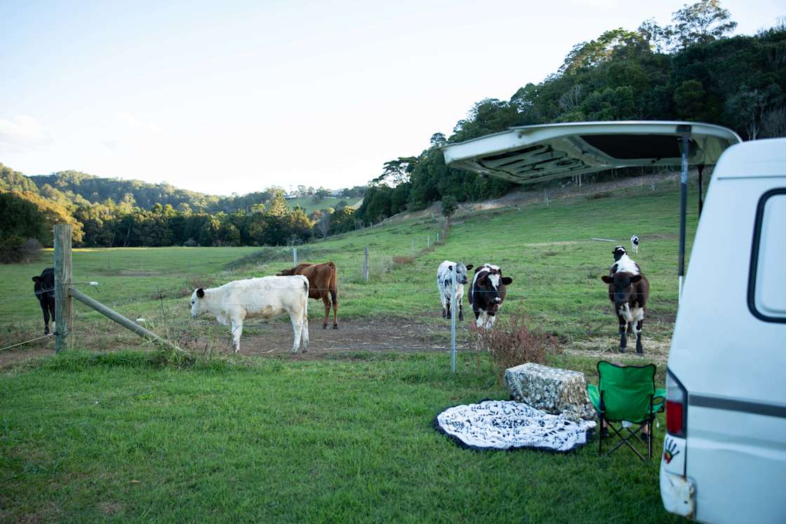 Tweed Valley Farmhouse Cheeses - Hipcamp in Burringbar, New South Wales