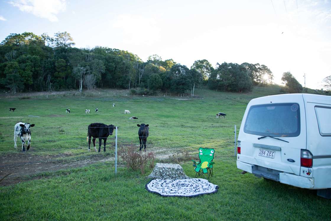 Tweed Valley Farmhouse Cheeses - Hipcamp in Burringbar, New South Wales