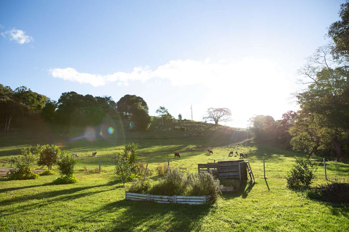 Tweed Valley Farmhouse Cheeses - Hipcamp in Burringbar, New South Wales