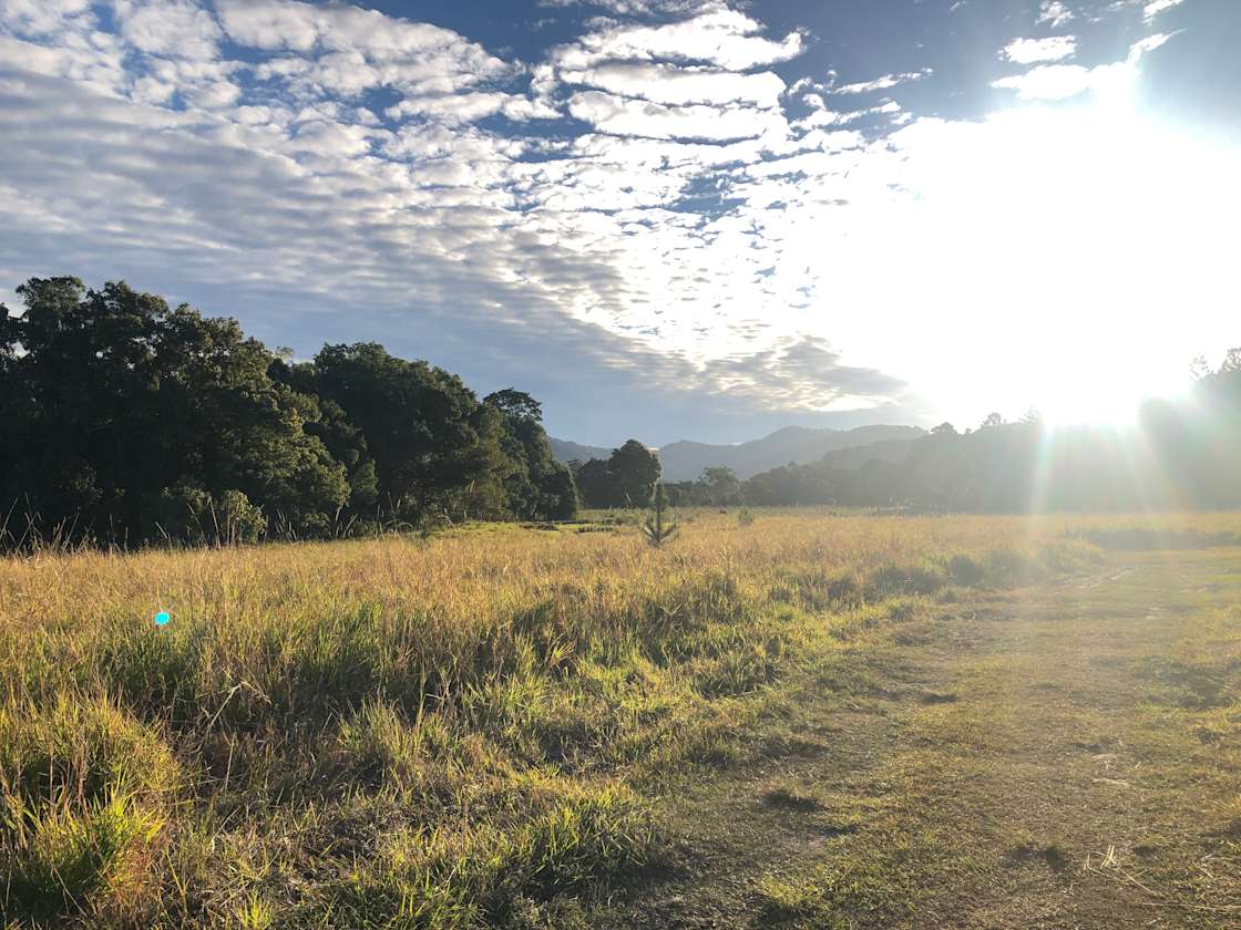 Middle Pocket Grove - Hipcamp in Middle Pocket, New South Wales