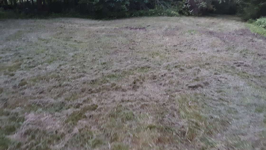 Old hay field - Hipcamp in New Braintree, Massachusetts