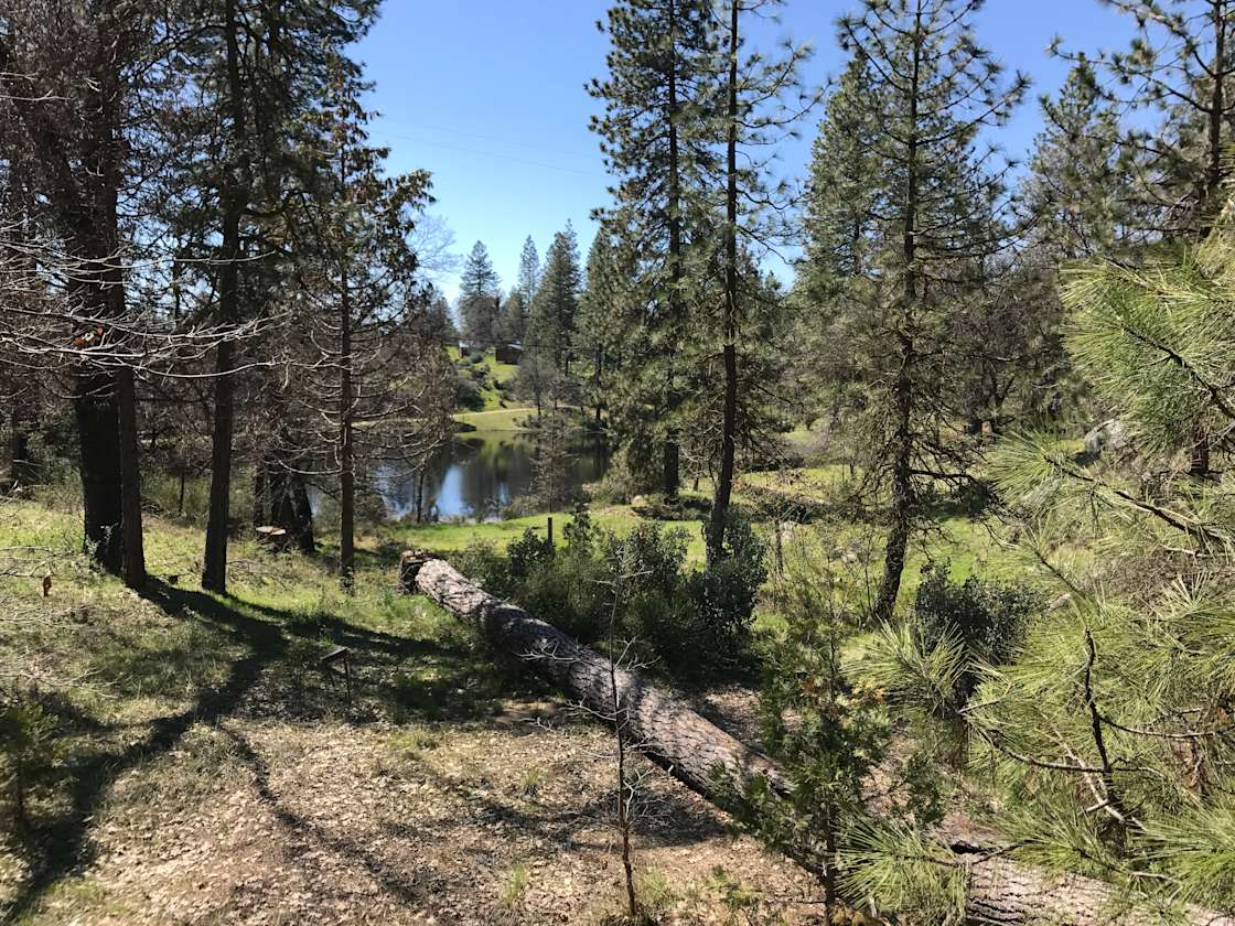 Camp Hye Sierra - Hipcamp in Dunlap, California