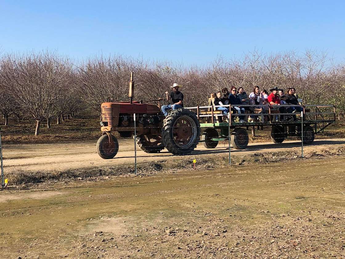 Ford Farms Petting Zoo - Hipcamp in Lindsay, California