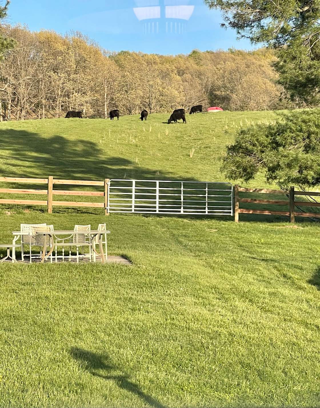 Boondock on the Farm - Hipcamp in Staunton, Virginia