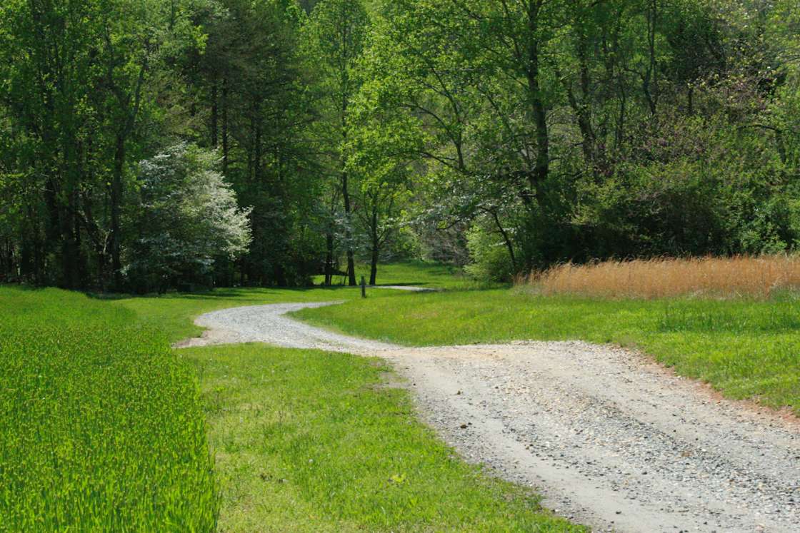 Camp Bucolo - Hipcamp in Tobaccoville, North Carolina