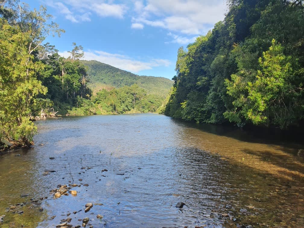 Annan River Camping - Hipcamp in Cooktown, Queensland