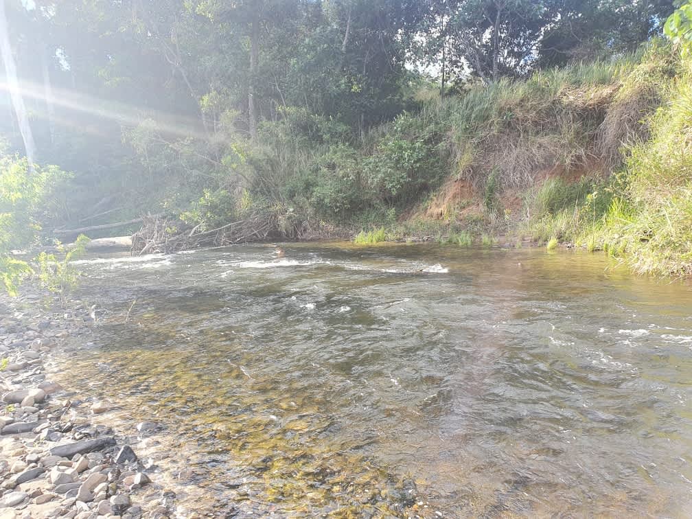 Annan River Camping - Hipcamp in Cooktown, Queensland