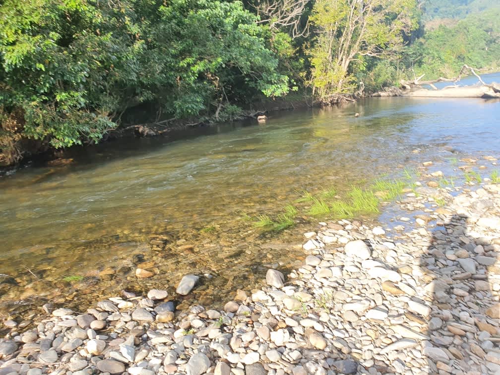 Annan River Camping - Hipcamp in Cooktown, Queensland