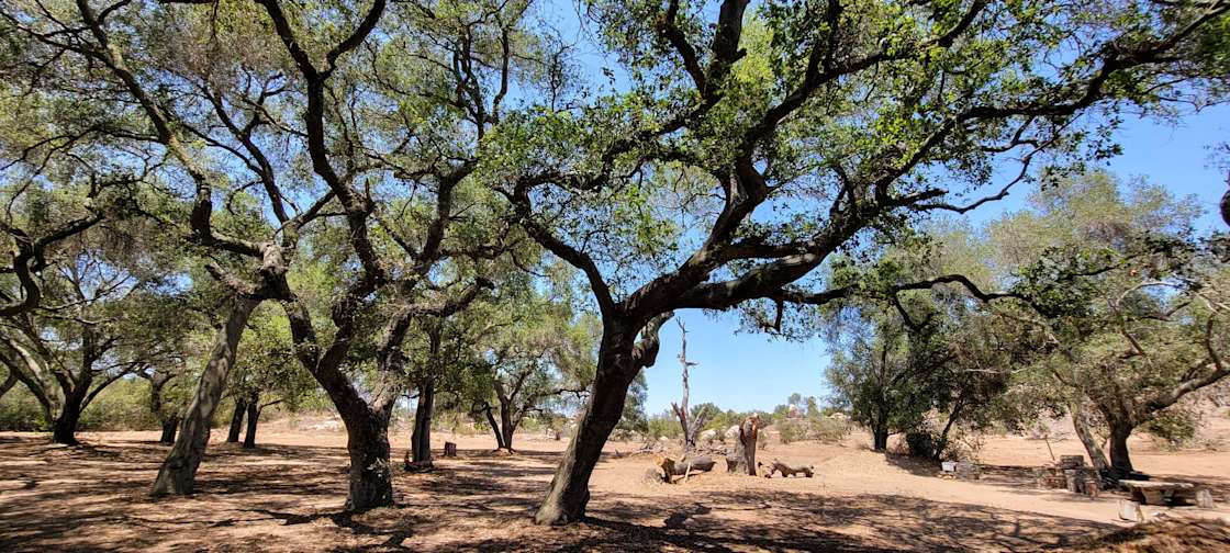 Splitrock Farm and Retreat - Hipcamp in Fallbrook, California