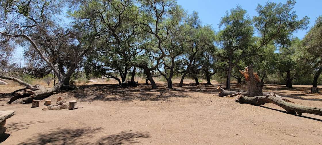 Splitrock Farm and Retreat - Hipcamp in Fallbrook, California