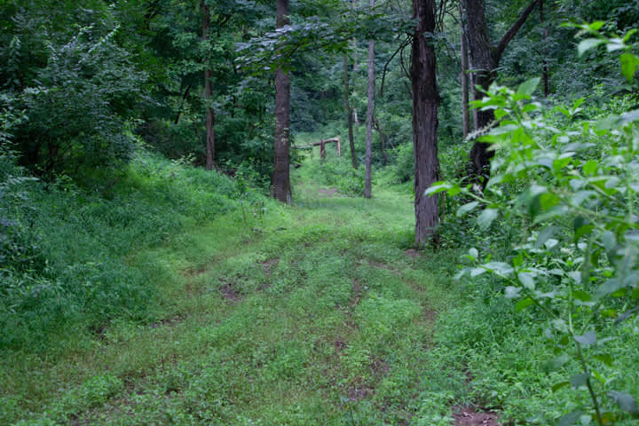 Shire Valley - Woodland - Hipcamp in Virginville, Pennsylvania