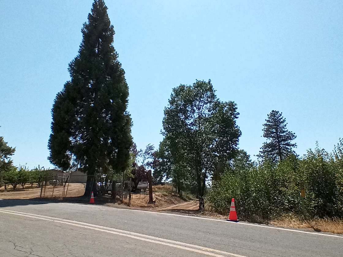 Sequoia Mountain Farms - Hipcamp in Wilsonia, California