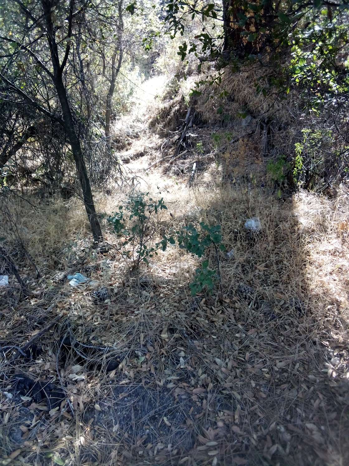 Star wizard ranch - Hipcamp in Somerset, California