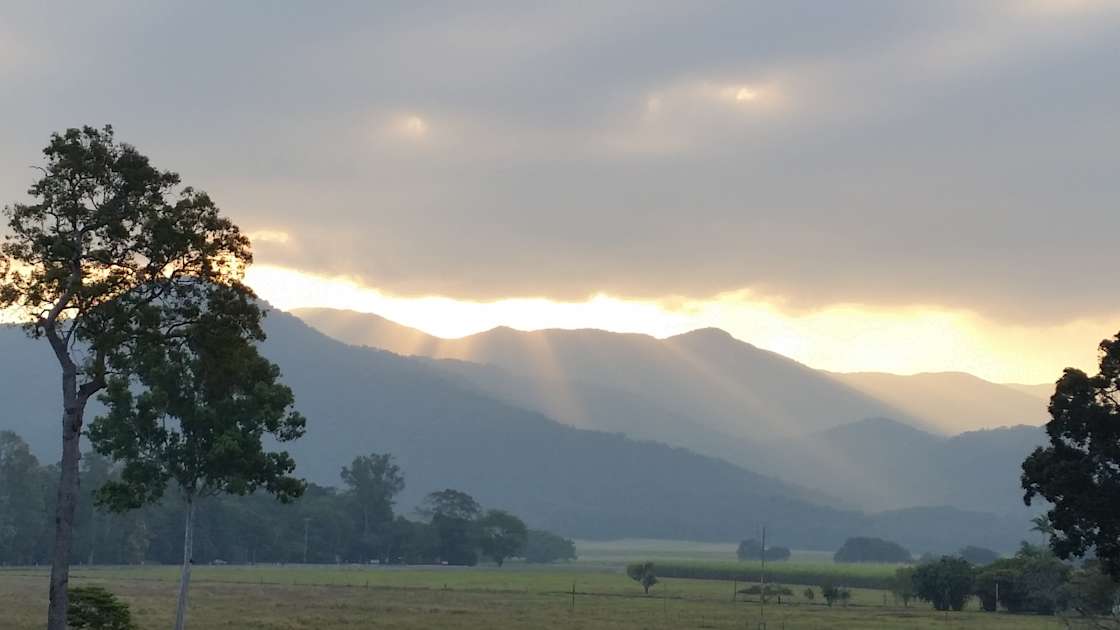 Cool Clean & Green in Julatten! - Hipcamp in Julatten, Queensland