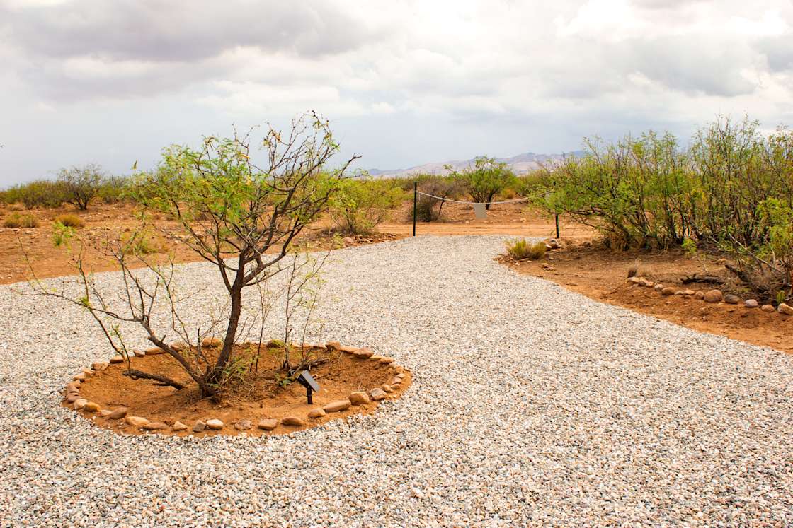 Peaks Valley Preserve - Hipcamp in Sunizona, Arizona