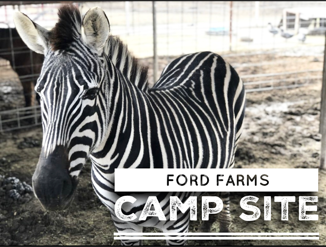 Ford Farms Petting Zoo - Hipcamp in Lindsay, California