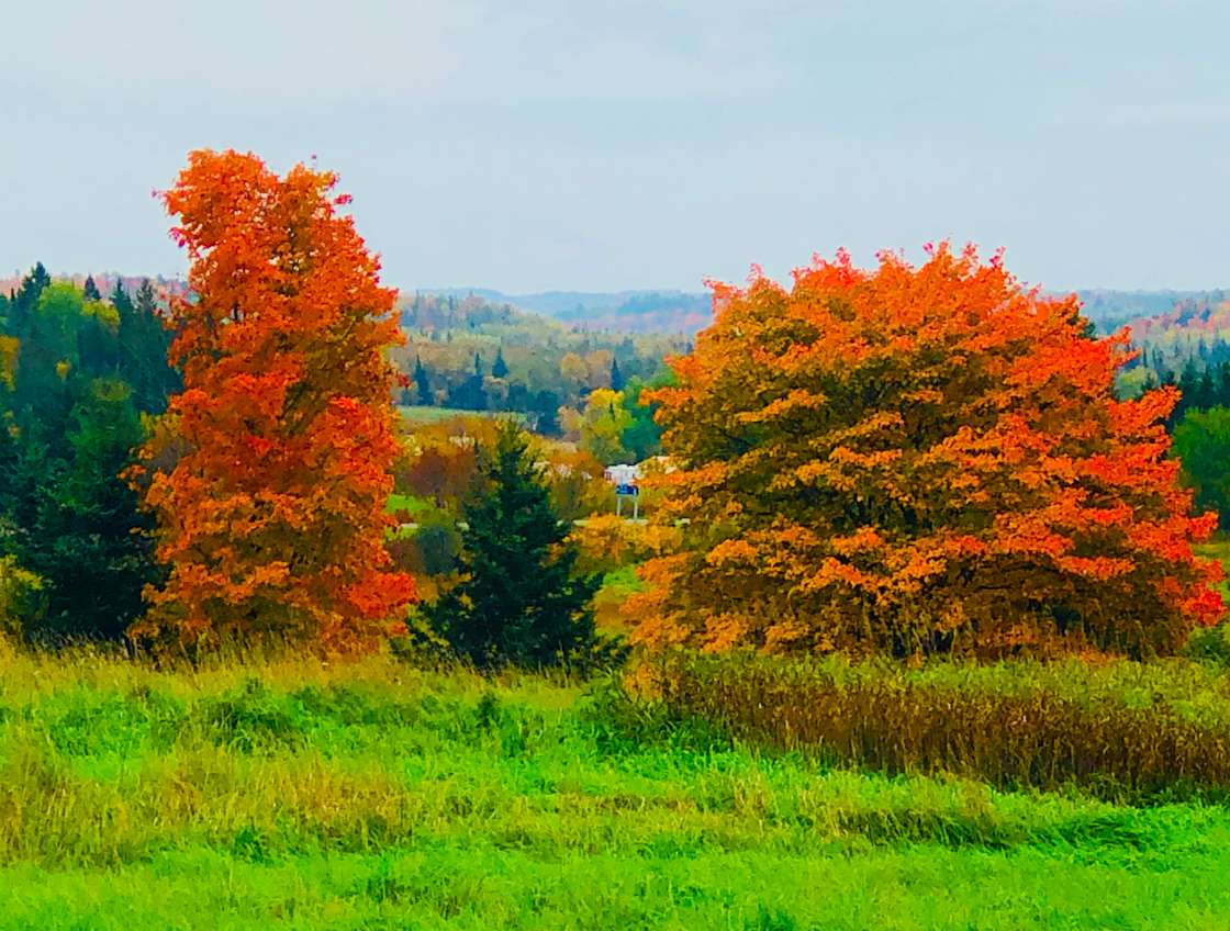 Beautiful Scenic Ranch - Hipcamp in Thessalon, Ontario