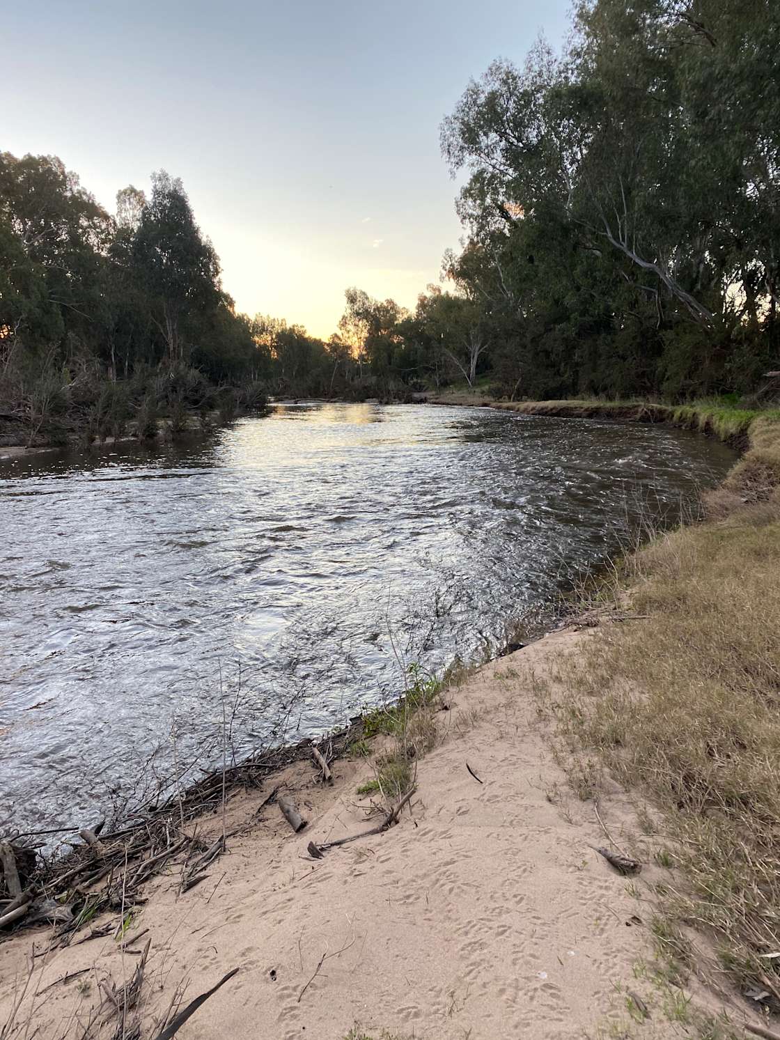 Mingoola Station - Hipcamp in , New South Wales