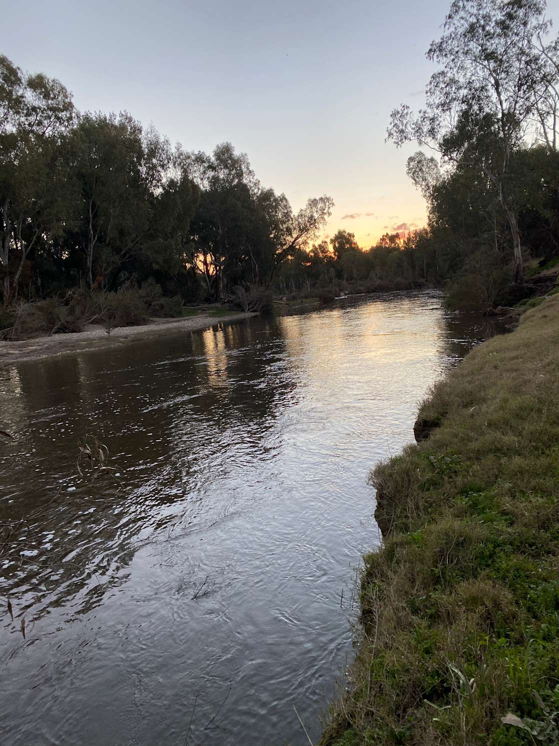 Mingoola Station - Hipcamp in , New South Wales