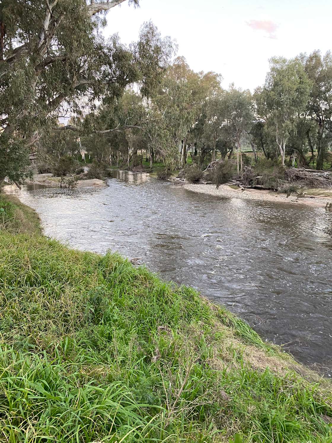 Mingoola Station - Hipcamp in , New South Wales