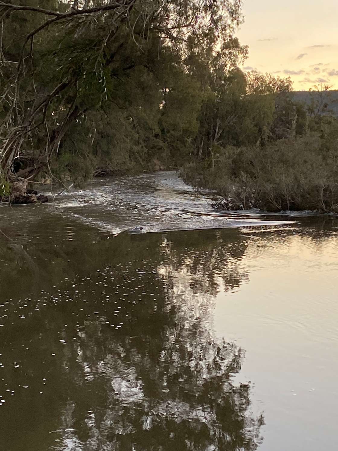 Mingoola Station - Hipcamp in , New South Wales