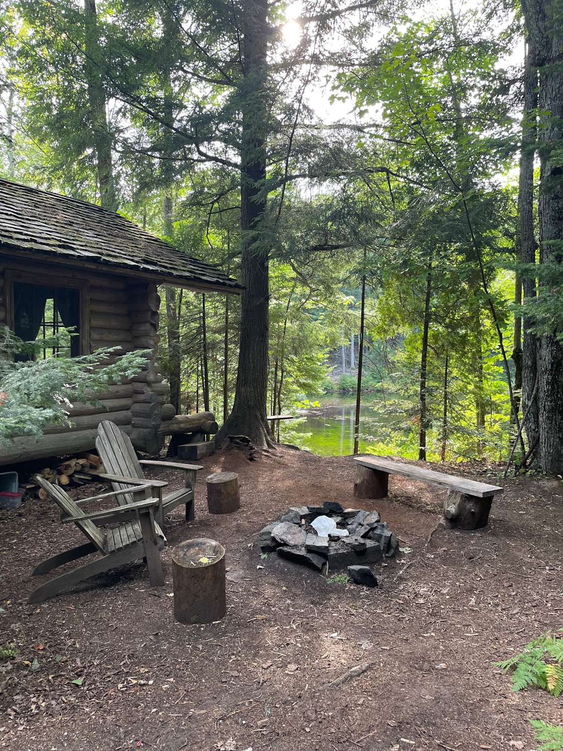 Bear Tree Homestead - Hipcamp in Trowbridge Park, Michigan
