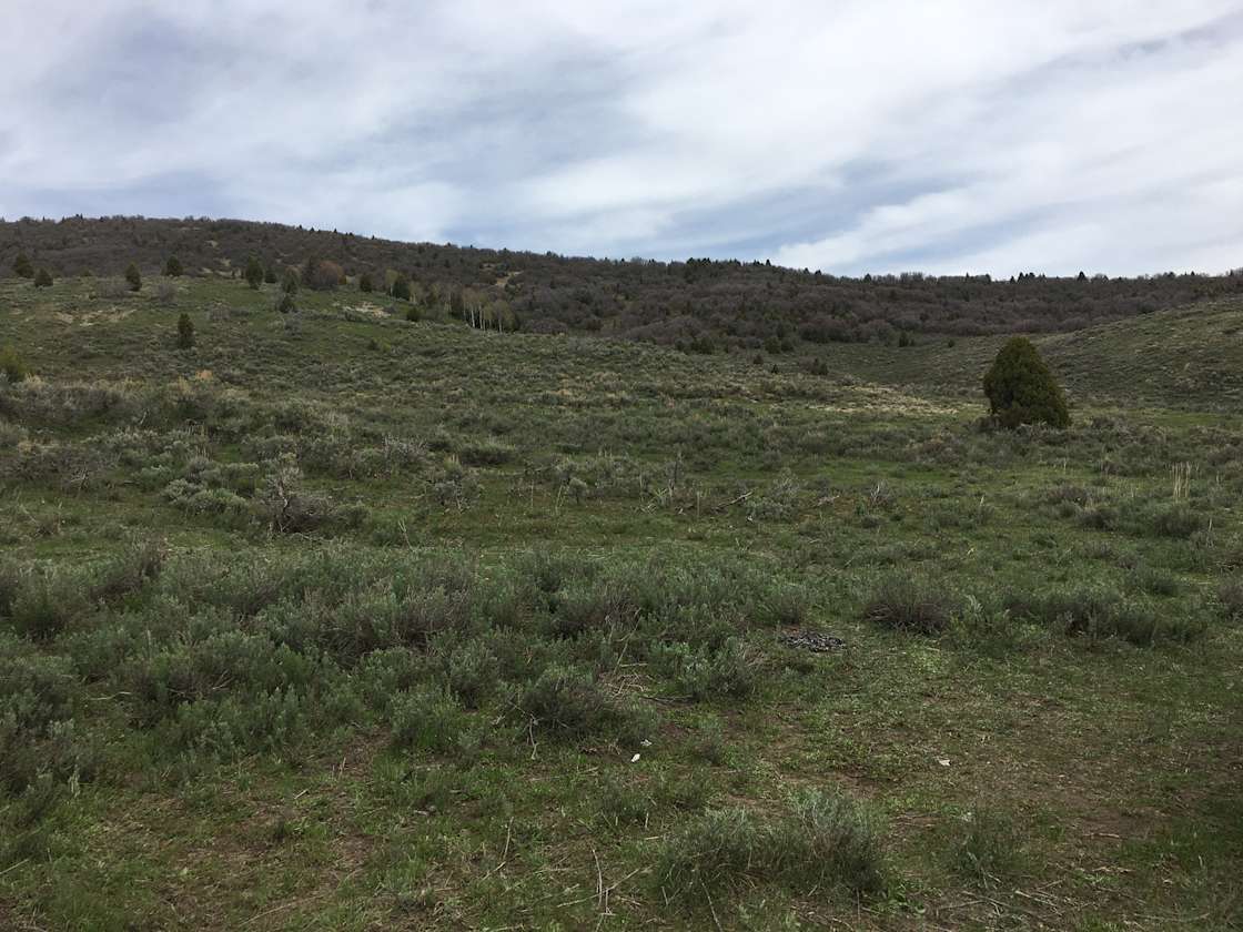 Soldier summit camp - Hipcamp in Scofield, Utah