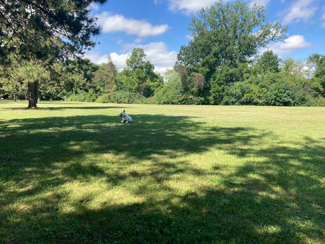 Auch Farm. - Hipcamp in Mount Pleasant, Wisconsin