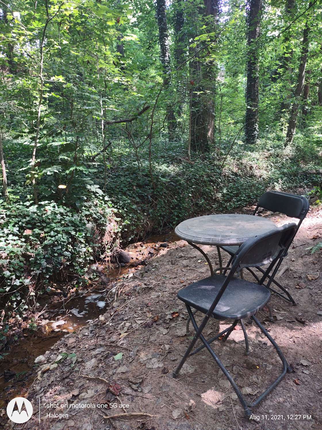 Hippie Camp - Hipcamp in Kennesaw, Georgia