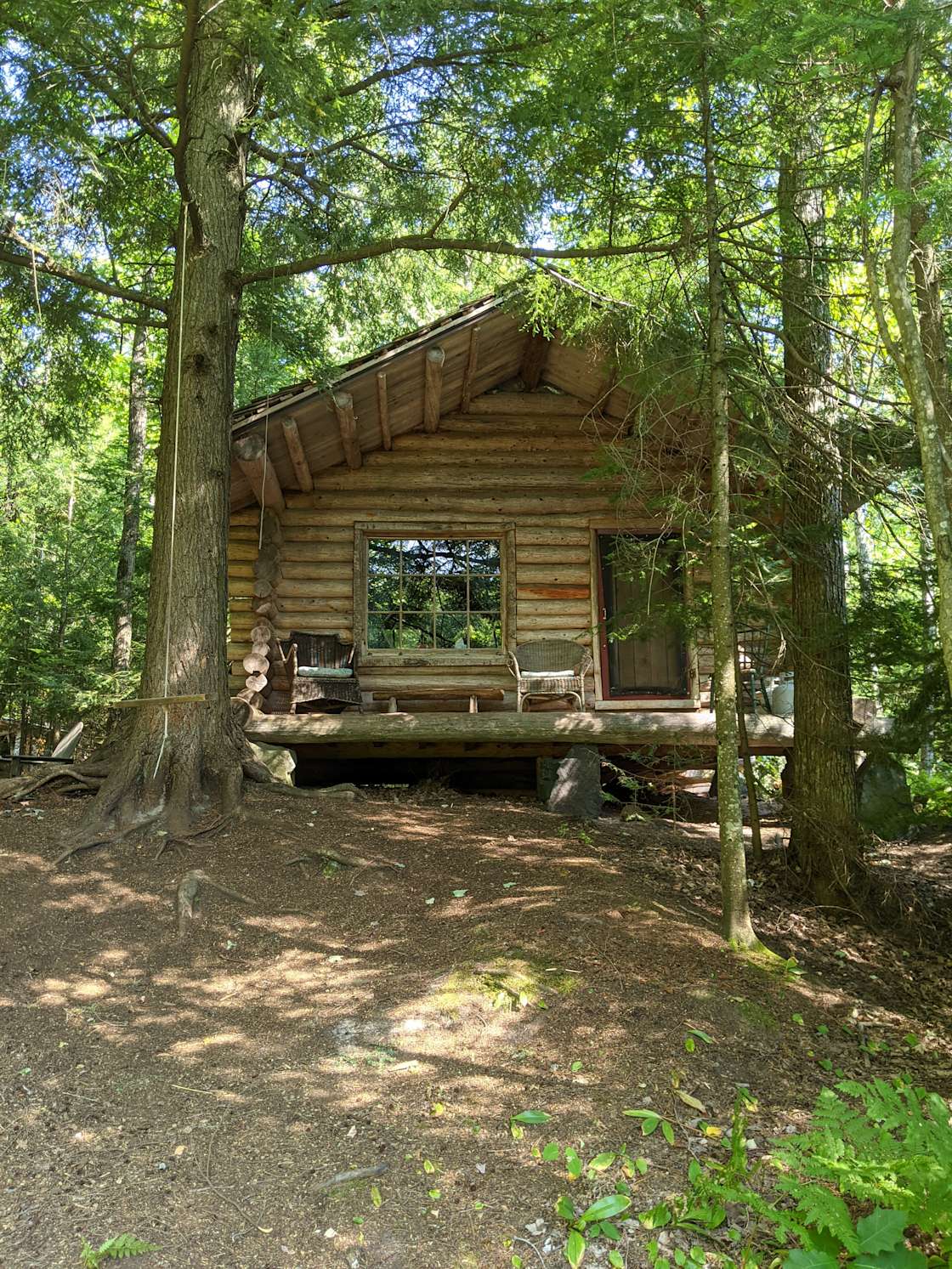 Bear Tree Homestead - Hipcamp in Trowbridge Park, Michigan
