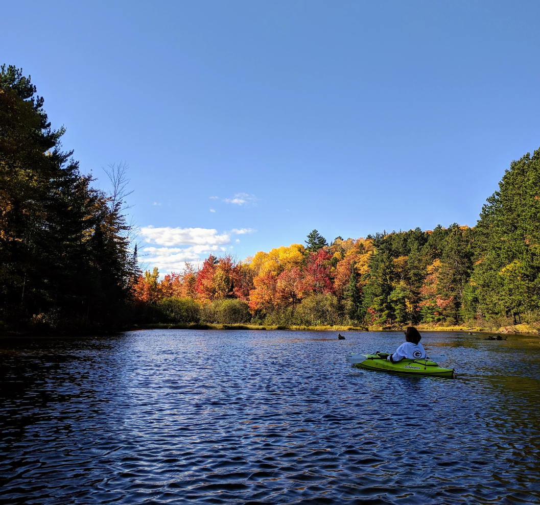Possum Creek Campground - Hipcamp in Trowbridge Park, Michigan