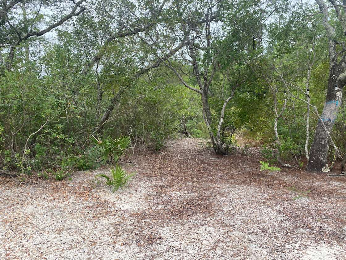 The Wandering Path - Hipcamp in Milton, Florida