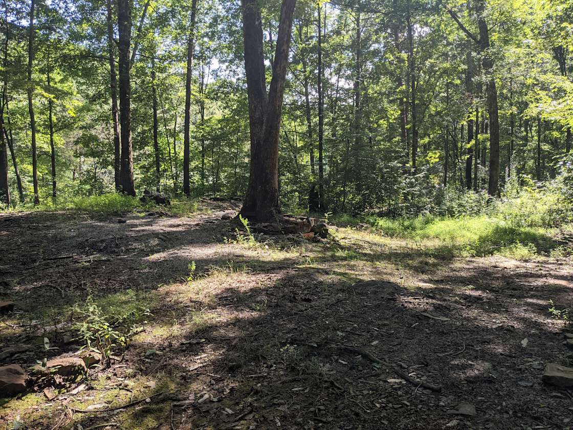 Running Water Creek - Hipcamp in Guild, Tennessee