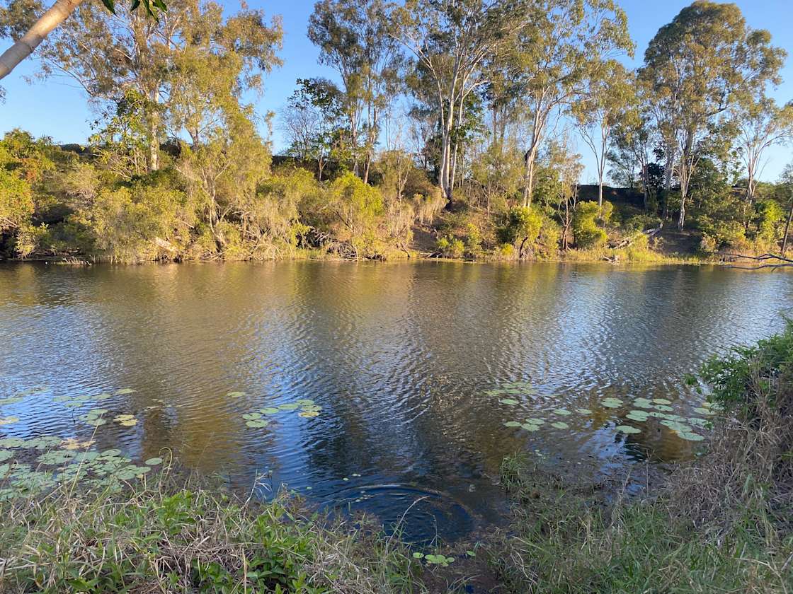 Camp Akuna Pikes Crossing INC - Hipcamp in Benaraby, Queensland