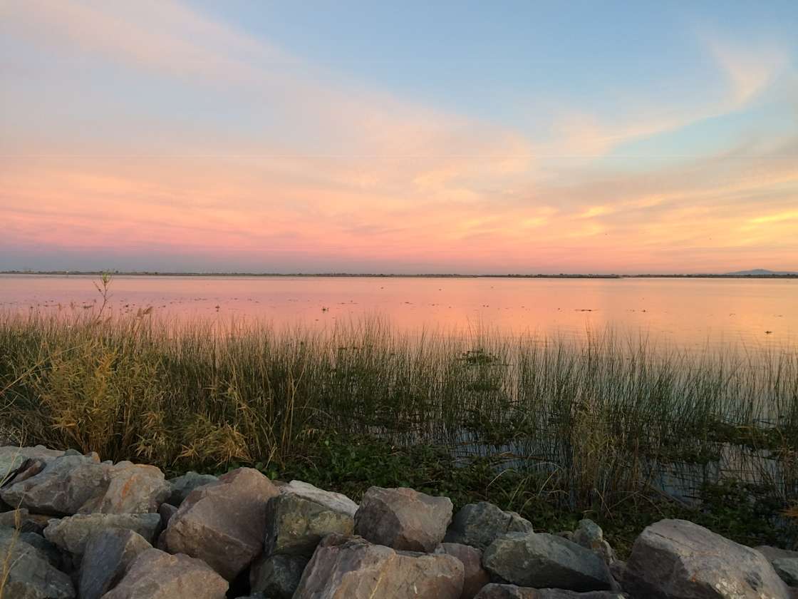 Delta Respite - Hipcamp in Sherman Island, California